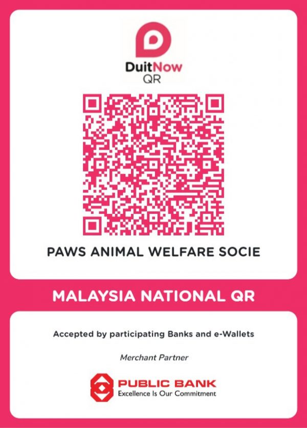Donate – PAWS Malaysia