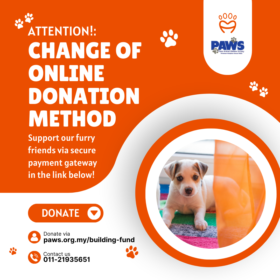 Donate – PAWS Malaysia