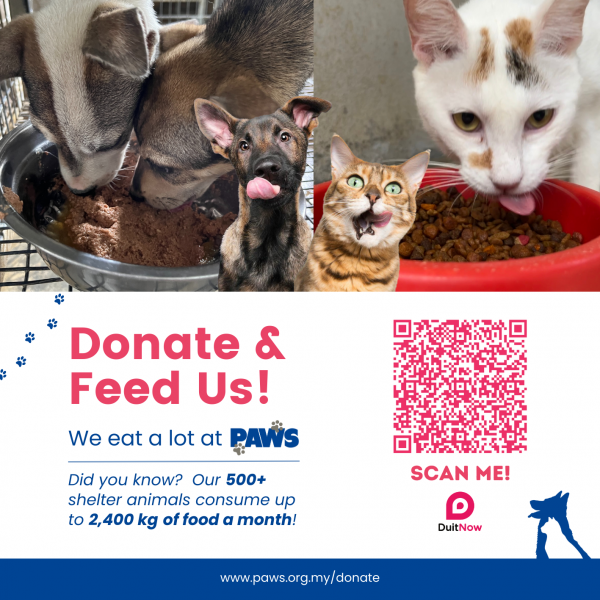 Donate – PAWS Malaysia